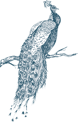 A Scholarly Feast – Alumnae Association