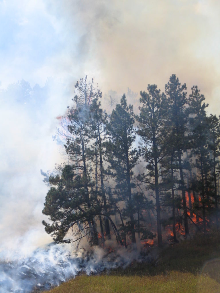 Wildfire: On the Front Lines with Station 8: A book excerpt – Alumnae ...